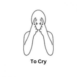 Makaton Mondays / Sign of the Week – Crawley Primary